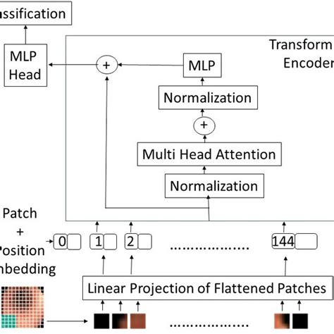 Overview Of Vision Transformer Architecture Download Scientific Diagram