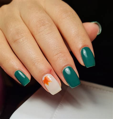 შემოდგომის ფოთოლ ცვენა 🍁🍂🍀 აბა შილაქი გლდანი თიკო