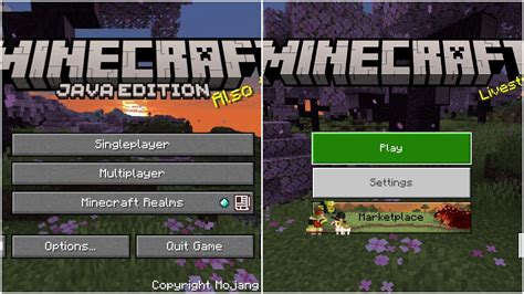 Can Minecraft Java Play With Bedrock Answered