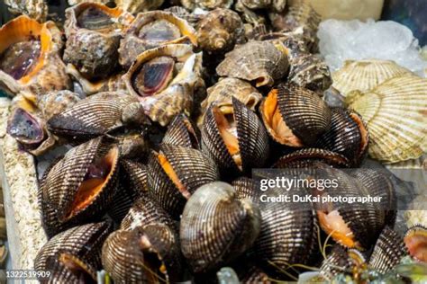 Shellfish Water Photos And Premium High Res Pictures Getty Images