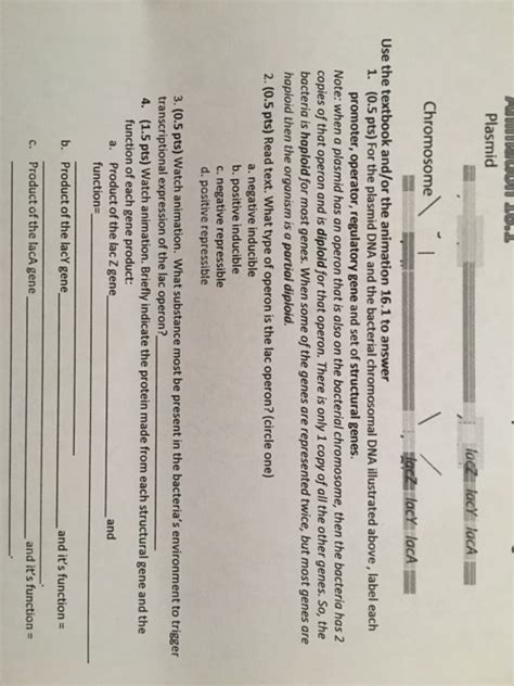 Solved Plasmid Chromosome Use The Textbook And Or The