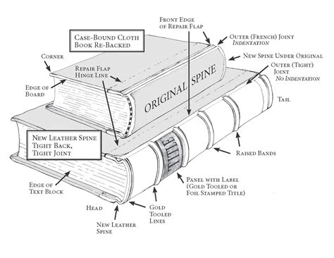 Master Book Anatomy Learn The Basics Of Book Structure Free Course