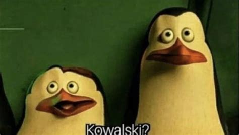 When Theres No Stack Overflow Answer Rprogrammerhumor