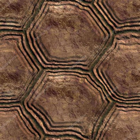 Turtle Shell Texture