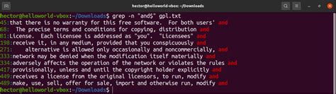 Using Grep And Regex To Search Text Patterns • Cloudsigma