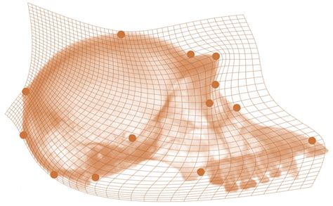 Upcoming Courses Dest Distributed European School Of Taxonomy