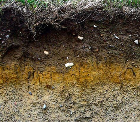 Soils And Soil Types Geodata Drilling