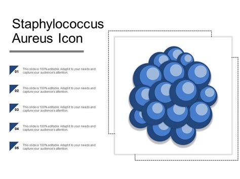 Staphylococcus Aureus Icon Template Presentation Sample Of Ppt Presentation Presentation