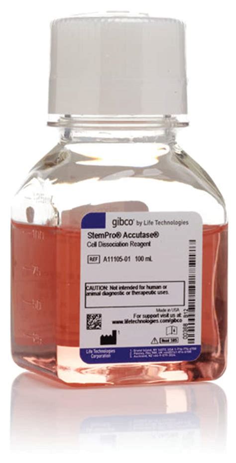 Gibco™ Stempro™ Accutase™ Cell Dissociation Reagent 100ml Agents De