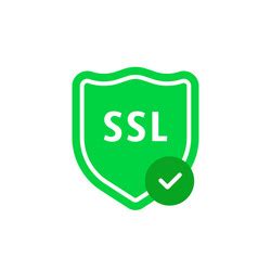 Website With Ssl Certificate Green Address Bar Vector Image