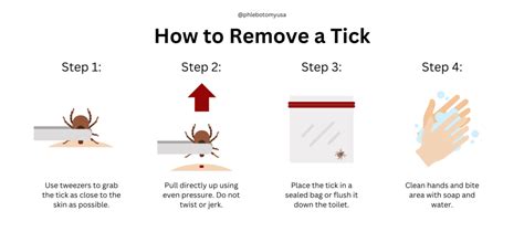 Tick Talk A Guide To Prevention And Safety Phlebotomy Usa