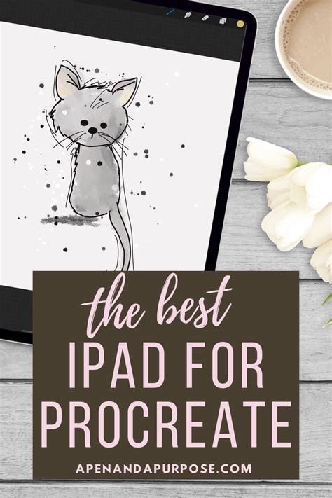 What Is The Best IPad For Procreate A Beginners Guide 2021