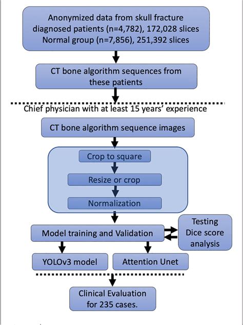 Figure 1 From Automated Identification Of Skull Fractures With Deep Learning A Comparison
