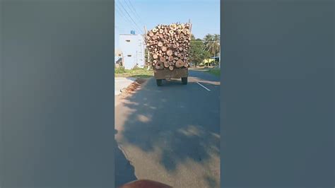 நான் பாஞ்சா புல்லட்டு தான் Youtube