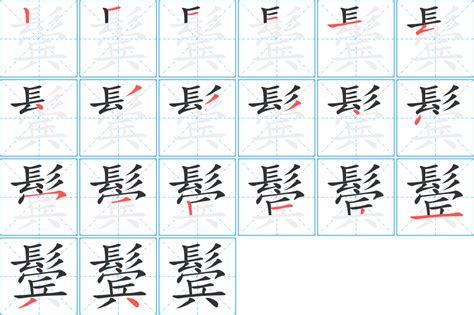 鬓的笔顺 演示鬓的笔顺及鬓字的笔画顺序 汉字笔顺 汉字笔顺网