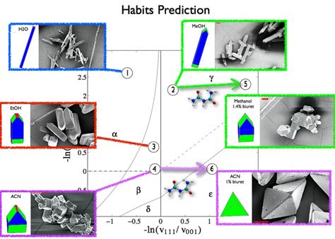 Molecular Modelling And Engineering Group Molecular Modelling