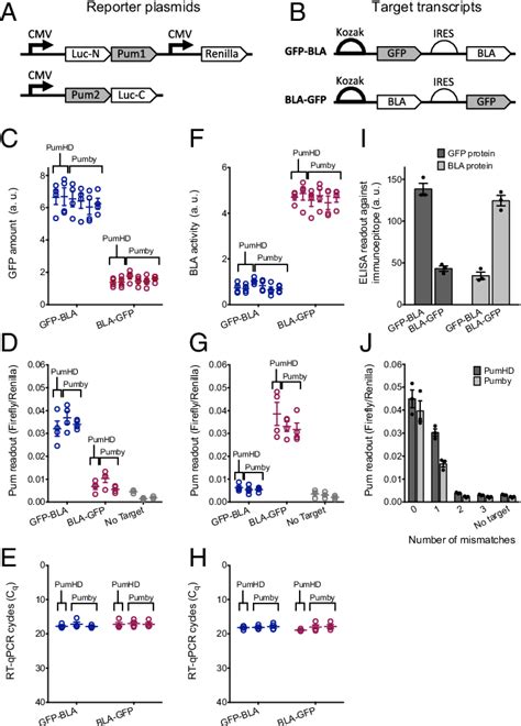 RNA Sequence Semantic Scholar