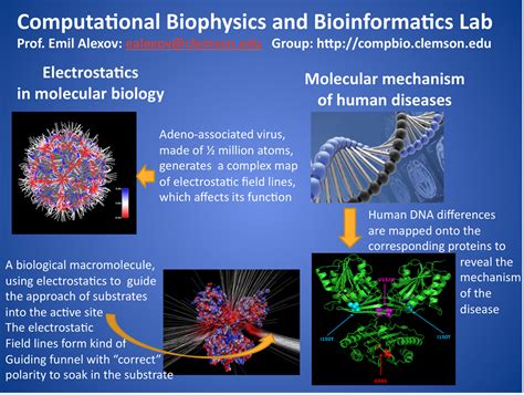 Biophysics Physics Basic Physics Molecular Biology