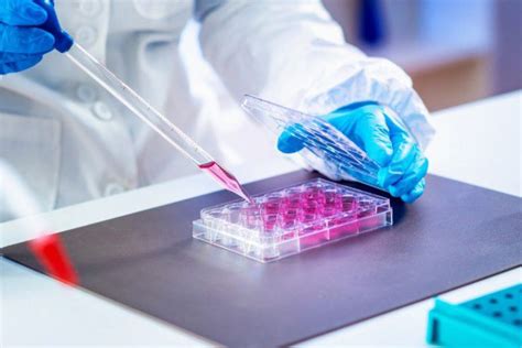 Medical Device Biocompatibility Testing And Iso 10993 Compliance