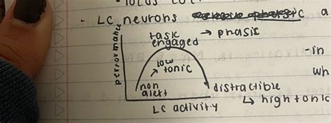 Foraging Flashcards Quizlet