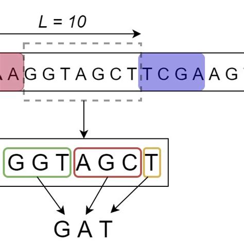 An Identified Gene In A Dna Sequence The Promoter Sequence Green Download Scientific Diagram