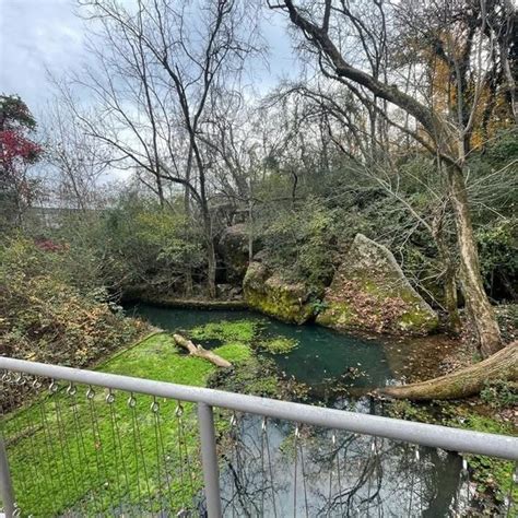 Mubby Mubby On Threads