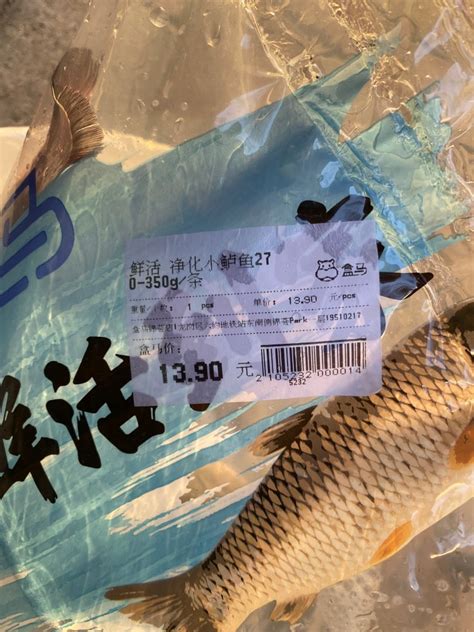 농어 요리 지식in