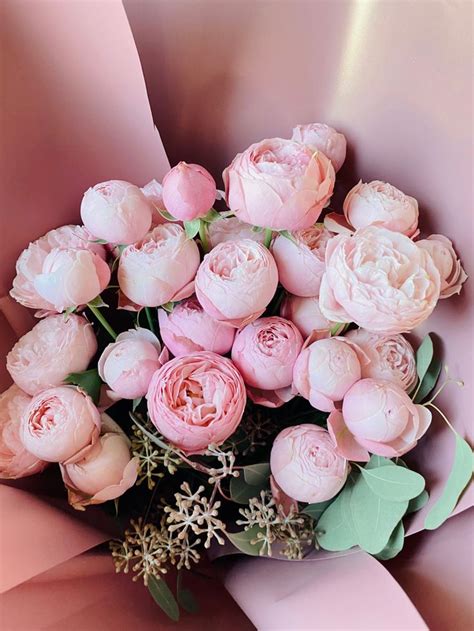 Пионовидные розы