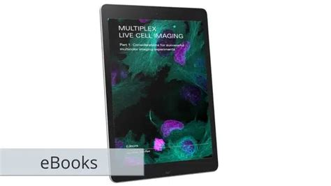 Your Guide To Successful Multiplex Live Cell Imaging Bitesize Bio Scientist Resources