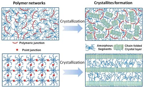 Influence Of Network Structure On The Crystallization Behavior In Chemically Crosslinked Hydrogels