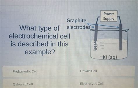 What Type Of Electrochemical Cell Is Studyx