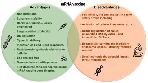 Lipid Nanoparticles As Promising Carriers For MRNA Vaccines For Viral Lung Infections