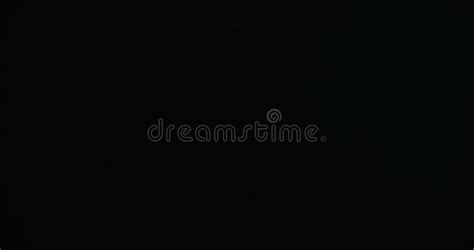 Seemly Light Leaks Transition Overlay 60fps Stock Video Video Of Flash Leaks 270604795