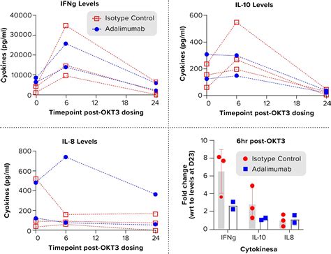 Immunotoxicity Enhance Safety Testing Today — Invivocue Leading