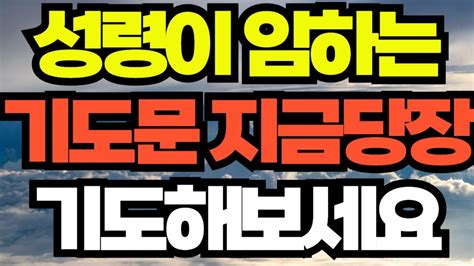 성령이 임하는 기도문 지금당장 기도해보세요 매일기도 따라하는기도 새벽기도 기도잘하는법 간절한 기도가 되는 기도