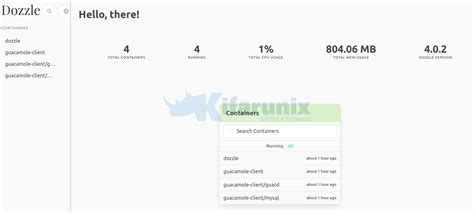Install Dozzle Real Time Log Viewer For Docker Containers On Ubuntu