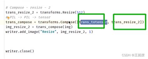 常见的transforms（二）（resize）transformsresizeresize Csdn博客