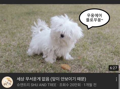 데이터엔지니어링 Project 1 Airflow 실습