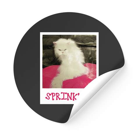 Sprinkles The Cat The Office Stickers Sold By Brett Allen Sku 4692131 Printerval The