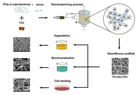 Electrospun Biodegradable Scaffolds Based On Poly ε Caprolactonegelatin Containing Titanium