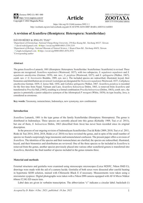 Pdf A Revision Of Scutellera Hemiptera Heteroptera Scutelleridae