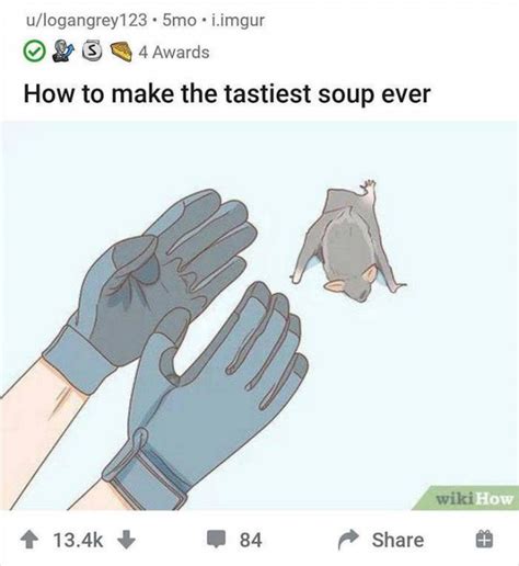 Wikihow Weird Articles 51 Pics