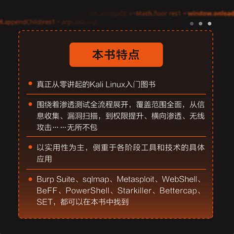 Kali Linux渗透测试全流程详解kali Linux书籍网络渗透测试实践指南网络渗透测试信息安全物联网虎窝淘