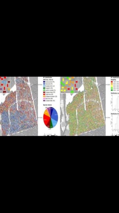 Tree Species Classification With Random Forest Using Very High Spatial Resolution 8 B Rtcl