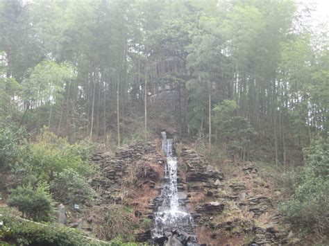 2024百竹园游玩攻略 井冈山百竹园是个后建的景点 去哪儿攻略