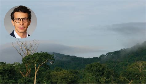 Seed Microbial Interactions And Tropical Tree Species Diversity Implications