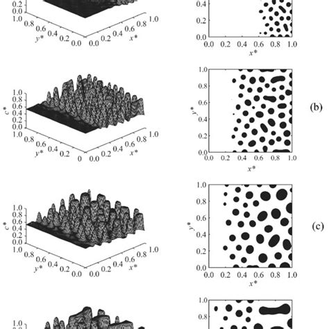 Spatial Concentration Profiles First Column And Phase Separated