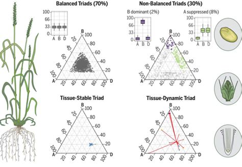 The Transcriptional Landscape Of Polyploid Wheat Rna Seq Blog