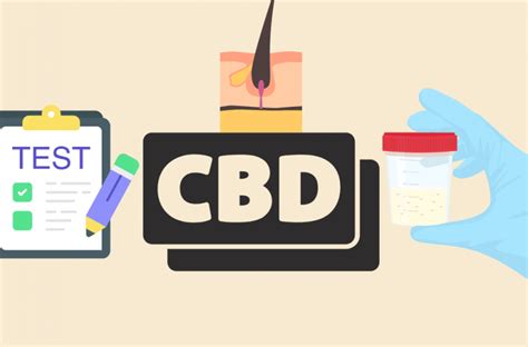 Shocking Facts About Cbd And Drug Testing You Absolutely Need To Know