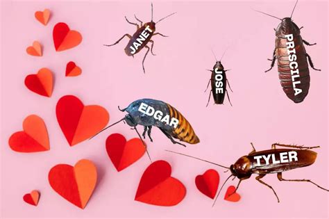 How Texans Can Now Name A Cockroach After An Ex